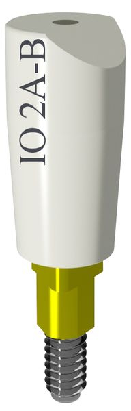 IO 2A-B SCAN FLAG ENG INTRA ORAL