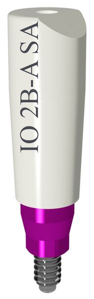 IO 2B-A SA SCAN FLAG ENG INTRA ORAL